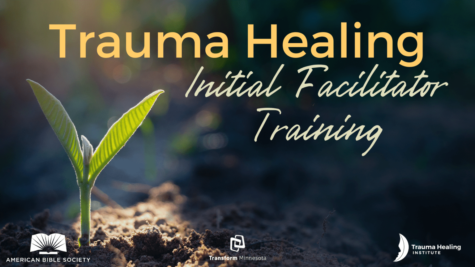 Trauma Healing Initial Facilitator Training - Transform MN